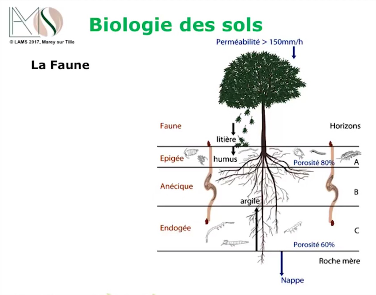 Comprendre Le Sol, La Terre et l'Humus - Collectif Environnement ...